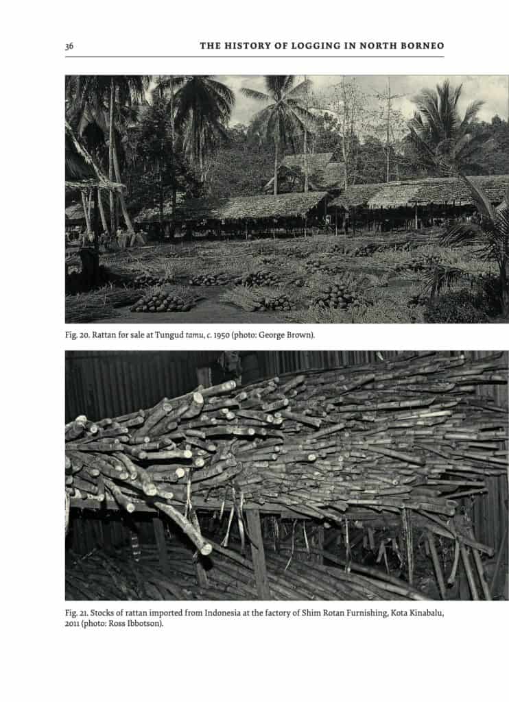 The History of Logging in North Borneo - Natural History Publications ...