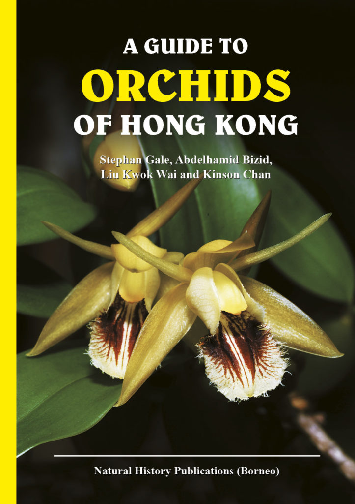 A Guide to Orchids of Hong Kong - Natural History Publications (Borneo)