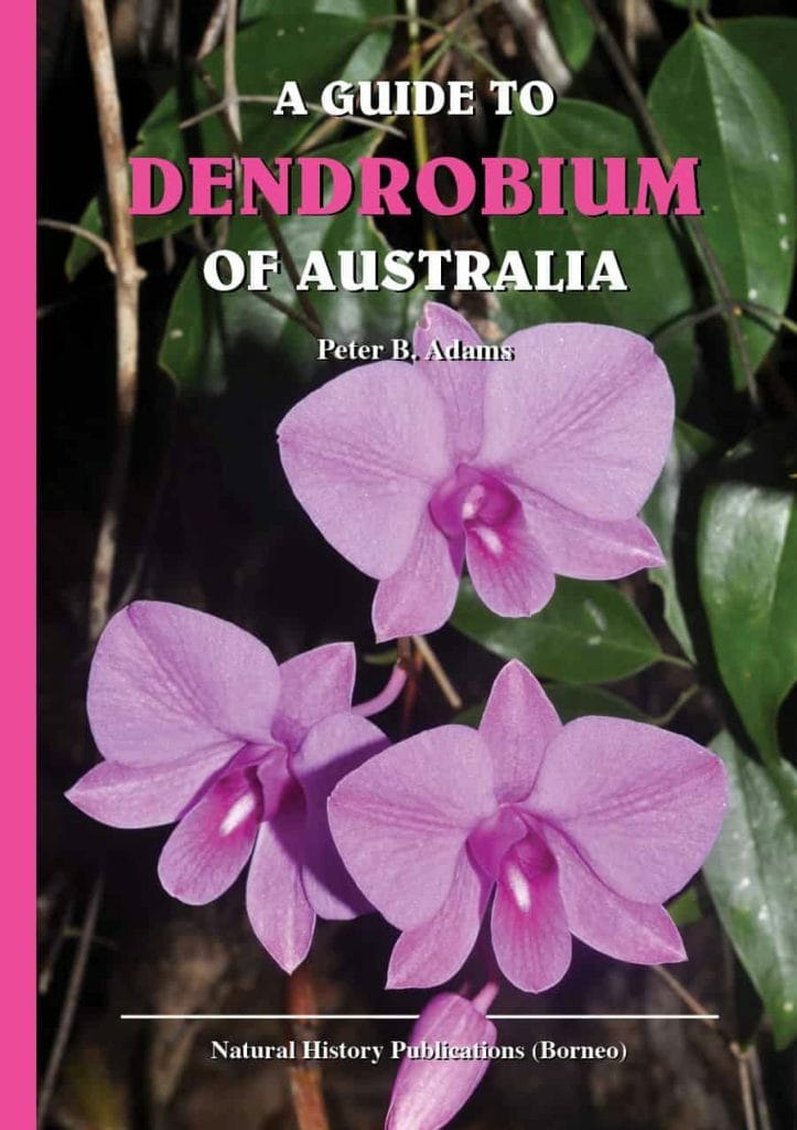 A Guide to Dendrobium of Australia - Natural History Publications (Borneo)