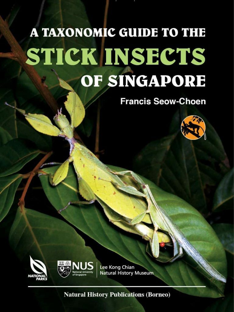 A Taxonomic Guide to the Stick Insects of Singapore - Natural History ...