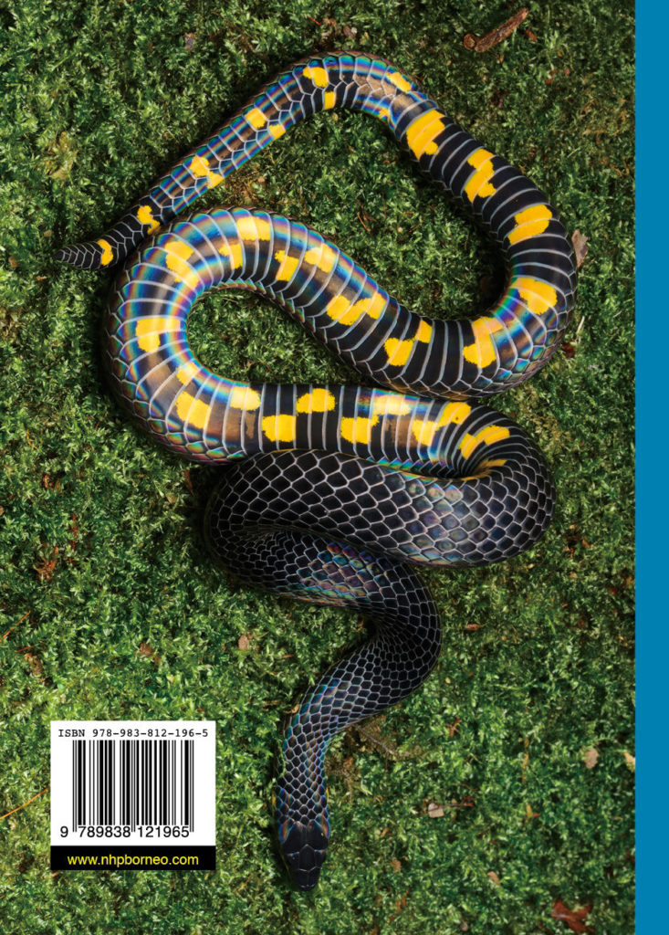 A Guide to Snakes of Peninsular Malaysia and Singapore - Natural ...