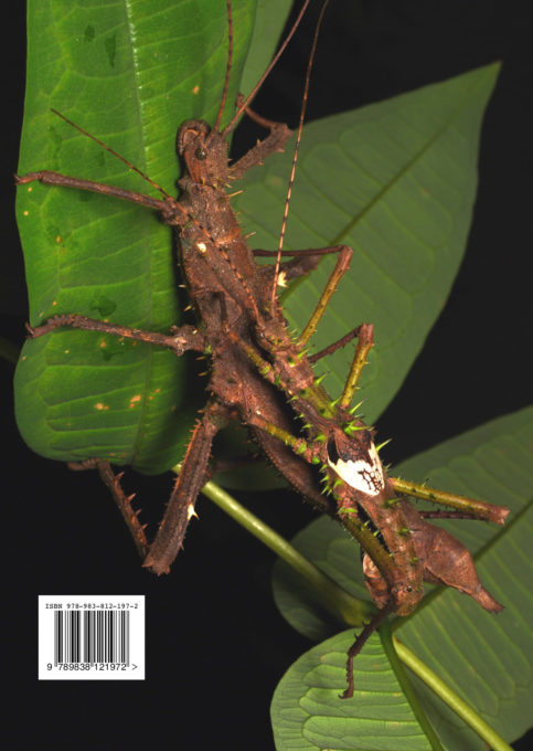 A Taxonomic Guide to the Stick Insects of Borneo - Natural History ...