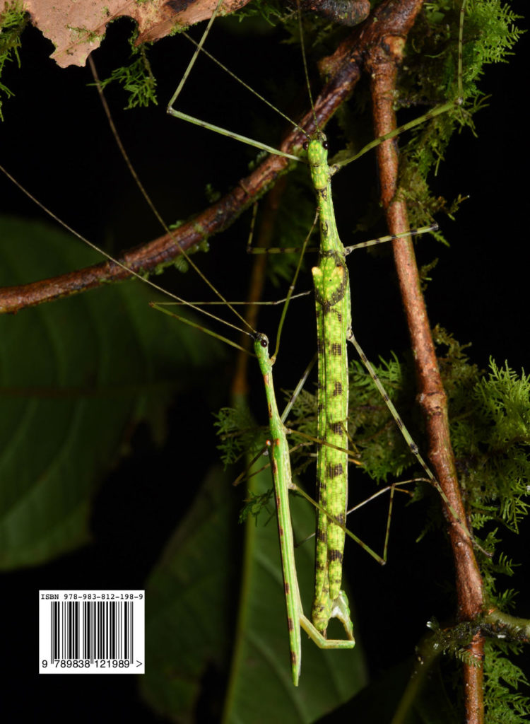 A Taxonomic Guide to the Stick Insects of Borneo Vol. 2 - Natural ...
