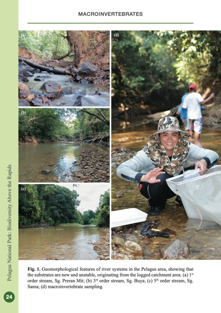 Pelagus National Park - Natural History Publications (Borneo)