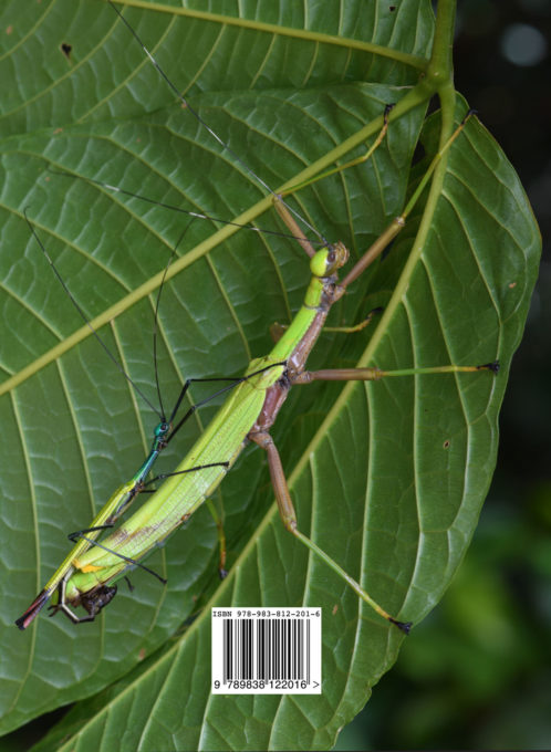 A Taxonomic Guide to the Stick Insects of Borneo Vol. 2 - Natural ...