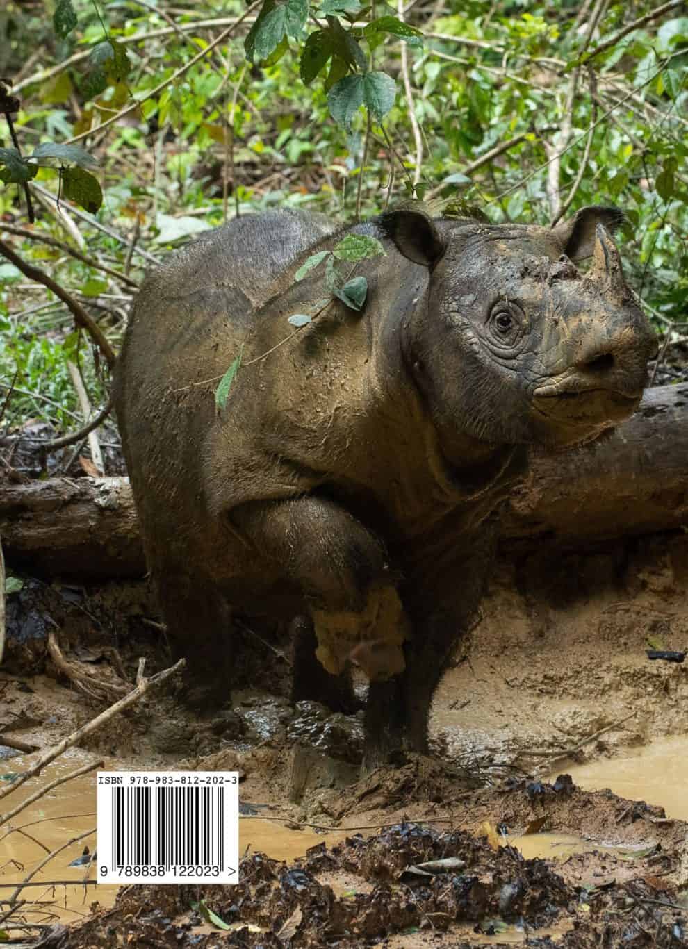 The Hairy Rhinoceros: History, ecology and some lessons for management ...