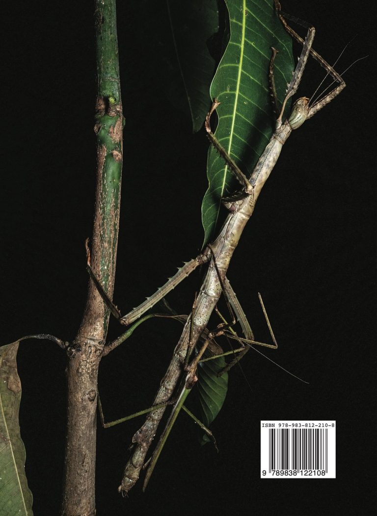 A Taxonomic Guide to the Stick Insects of Borneo Vol. 2 - Natural ...